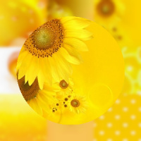 2048 Yellow Wallpapers